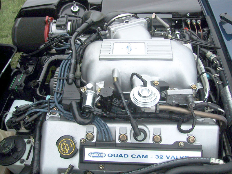 Mantis engine bay - Marcos Sports Car Enthusiasts